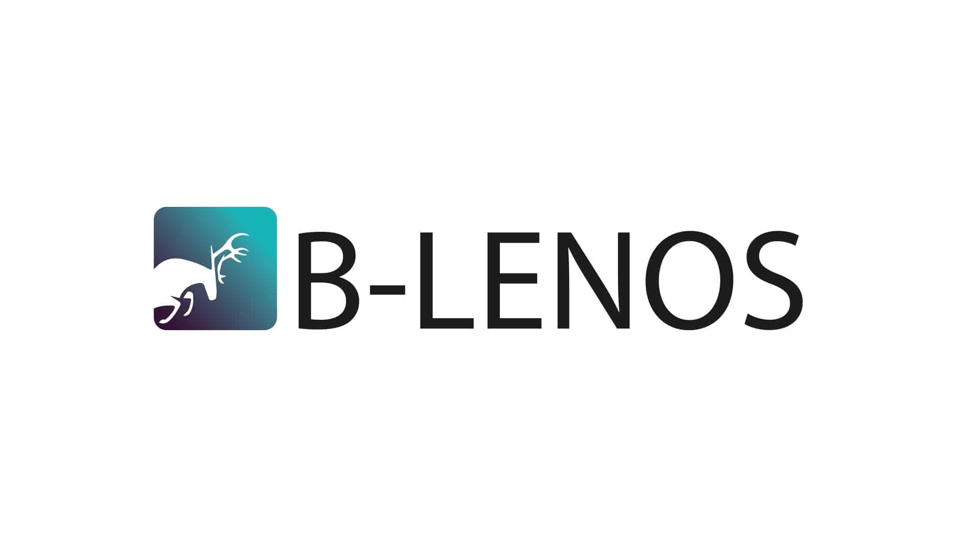 B-Lenos: De la Formation au Succès de Votre Projet Pro